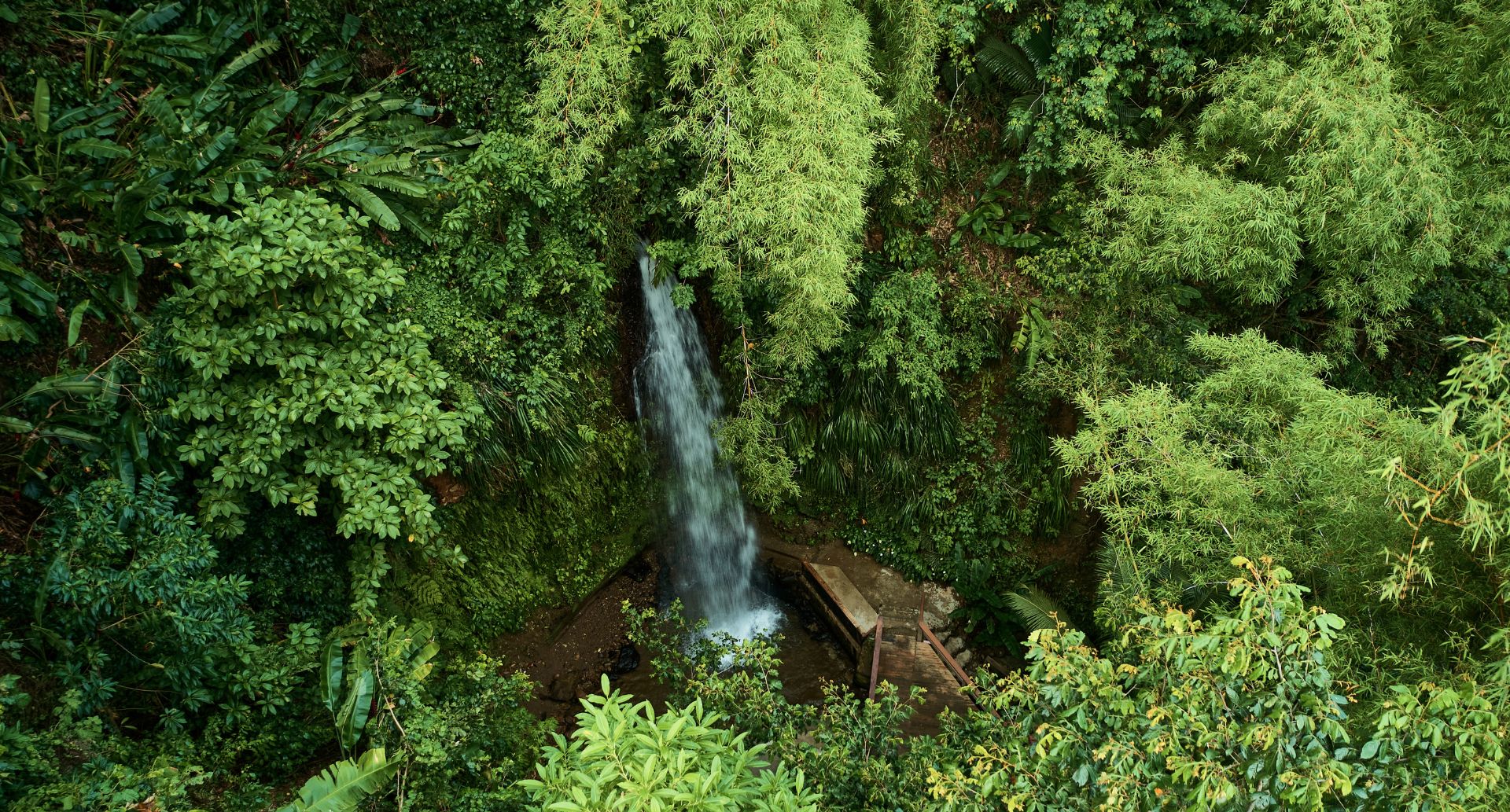 Nature & Rainforest Adventures Itineraries| Saint Lucia Tourism Authority
