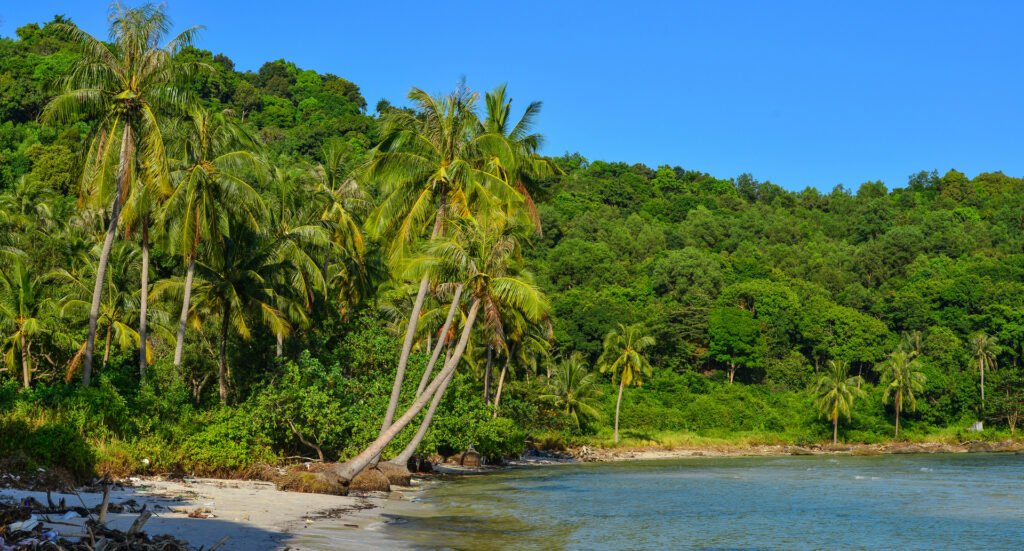 St Lucia Weather & Travel Seasons | Saint Lucia Tourism Authority
